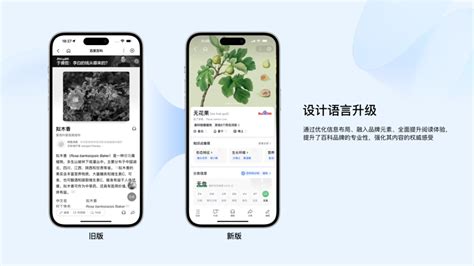 上亿人使用的百度百科，是如何做设计升级的？ 优设网 学设计上优设