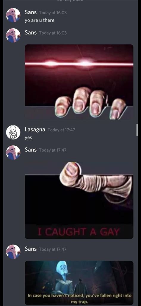 I Caught A Gay Meme Discord Top Dasedown