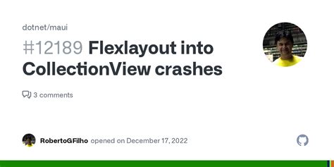 Flexlayout Into Collectionview Crashes · Issue 12189 · Dotnetmaui · Github