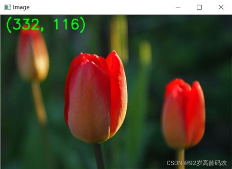 Opencv快速入门：窗口交互opencv Event Csdn博客