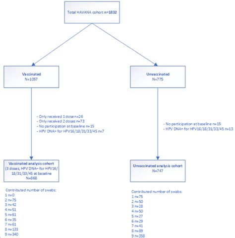 Flowchart Of Analysis Population Download Scientific Diagram