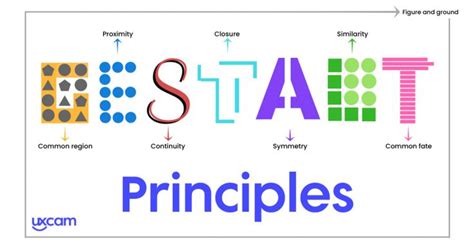 Gestalt Principles The Complete Overview 2022 Principles Graphic