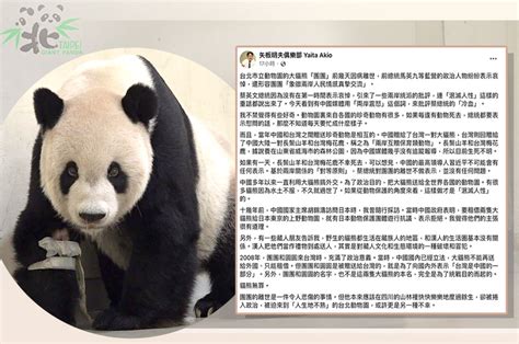 團團離世蔡英文未悼念遭罵「冷血」！矢板明夫批「中國拿熊貓搞外交」：這才是泯滅人性