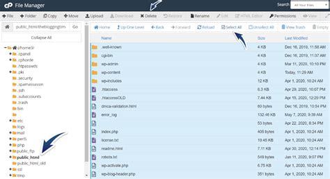 how to delete wordpress blog hosted and non hosted