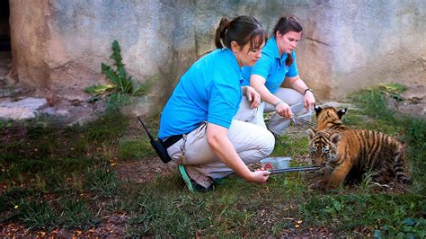 Watch Secrets Of The Zoo Online 2018 Stream Episodes And Seasons