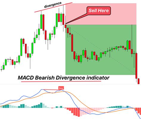 How To Trade With MACD Divergence Indicator ForexBee