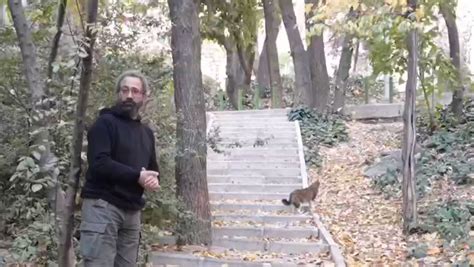 Mersen On Twitter سهیلا گلستانی، بازیگر، در صفحه اینستاگرام خودش