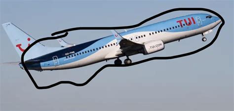 Can Anyone Tell Me What This Part Of The Fly Big Thing Attached To The