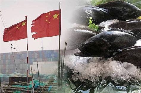 台灣大選在即施壓？ 中國：研擬中止ecfa農漁、機械等關稅減讓 自由電子報 Line Today