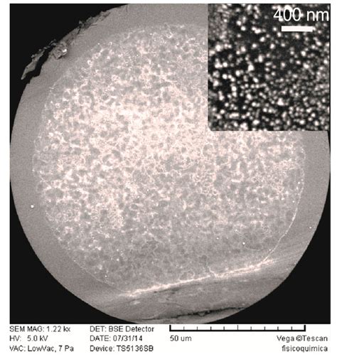Sensors Special Issue Nanoparticle Based Biosensors