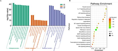Gene Ontology Go Analysis And Kegg Pathway Enrichment Analyses A