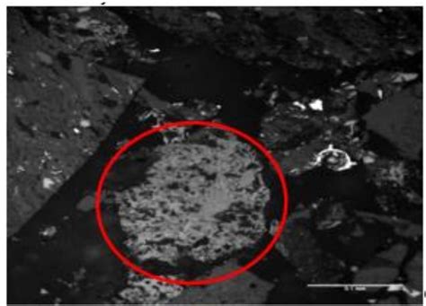 6 Photomicrograph Showing The Maceral Composition Of Okobo