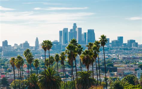 洛杉矶城市剪影图片素材 洛杉矶城市剪影设计素材 洛杉矶城市剪影摄影作品 洛杉矶城市剪影源文件下载 洛杉矶城市剪影图片素材下载 洛杉矶城市剪影背景素材 洛杉矶城市剪影模板下载 搜索中心