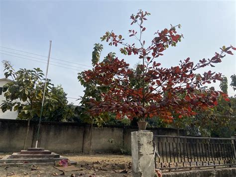 Sneha Pandey On Linkedin Personalbranding Freelancing Comments Linkedin Contentwriting…