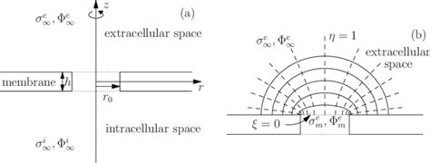 Schematic Of The Problem A The Geometry Of An Isolated Pore B The