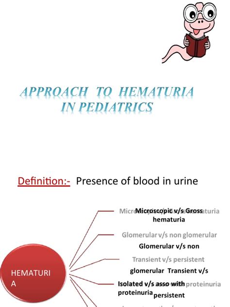 Approach To Hematuria 2020 Pdf Urology Genitourinary System Diseases