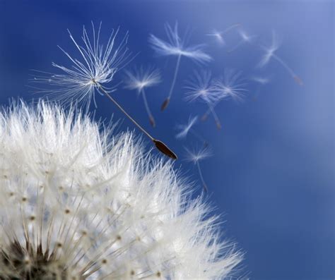 Моят Вълшебен Живот Добро утро слънчеви приятели 🌼 Нека този ден ни донесе много радост и