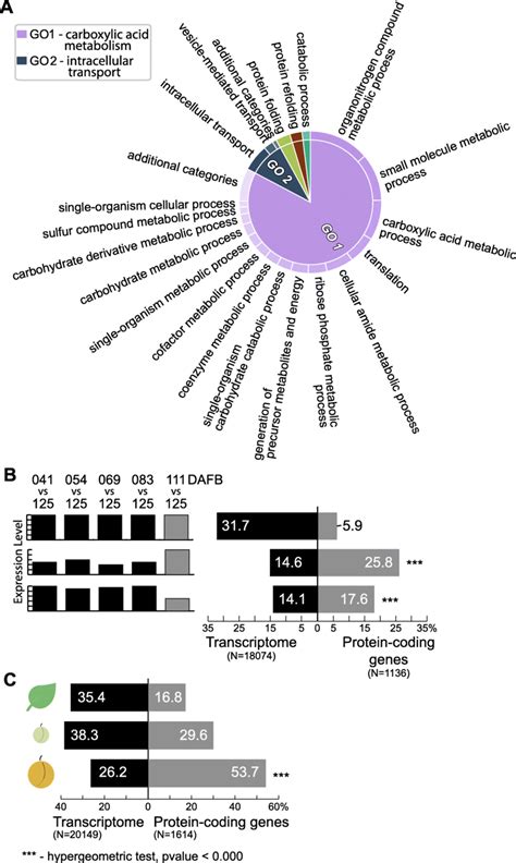 Analysis Of Global Patterns In The Proteomics Dataset And Comparison