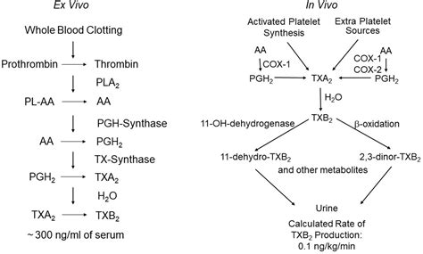 Frontiers Measurement Of Thromboxane Biosynthesis In Health And Disease