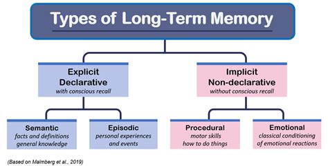 25 Types Of Memory Diagram
