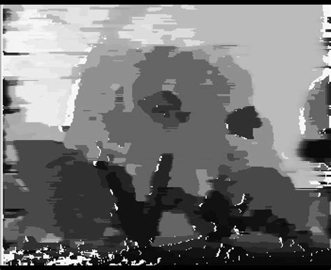 A Disparity Map From The Basic Disparity Space Algorithm B Download Scientific Diagram