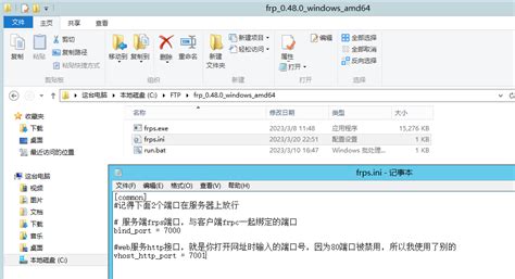基于 域名的frp内网穿透教程 win server iis反向代理 给自己电脑设置一个域名 网络穿透 csdn博客