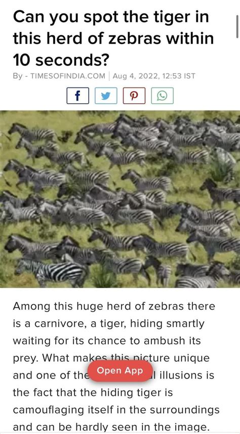 Can You Spot The Tiger In This Herd Or Zebras Within 10 Seconds By I Aug 4 2022 Ist Among