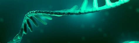 Mrna Template Services Genscript