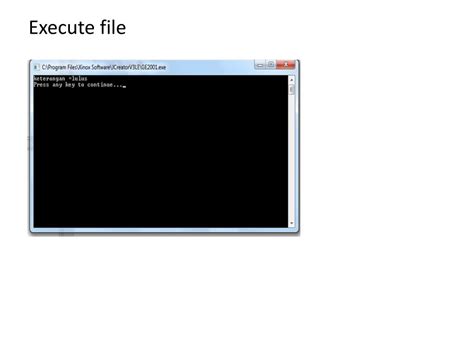 C Execute File