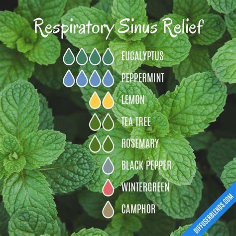 Respiratory Sinus Relief