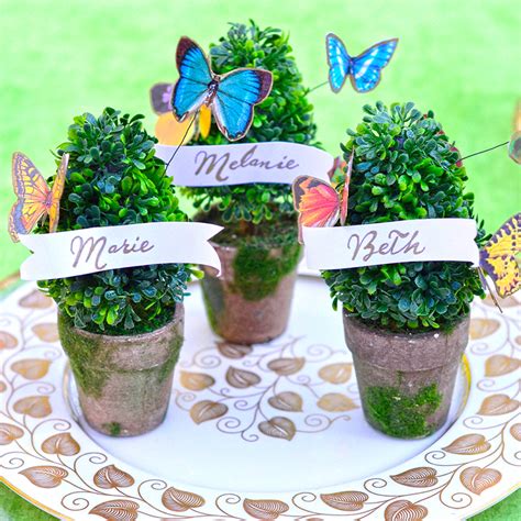 Flutter Fun Mississippi Magazine