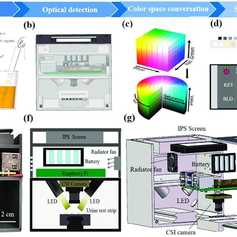 Schematic Illustration Of An Optical Poct Based Colorimetric Analysis Download Scientific
