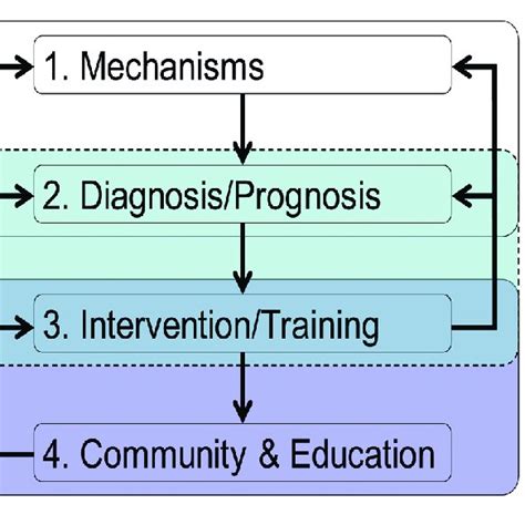 The Theoretical Translational Framework On How En Can Inform Ld Download Scientific Diagram