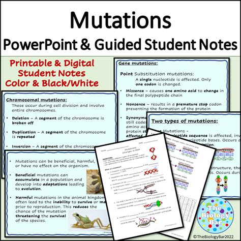Chromosomal Mutation Examples