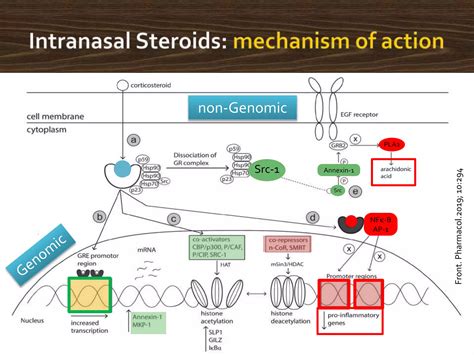 Uso De Esteroides Nasales En El Tratamiento De Pacientes Con Rinitis