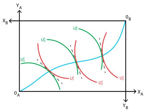 General Equilibrium Policonomics