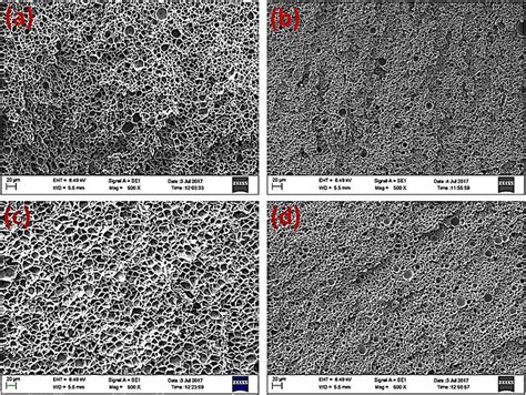 Effect Of Saturation Pressure On The Morphology Of Microcellular Foamed Download Scientific