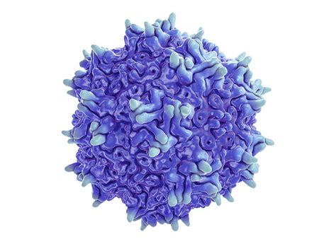 腺相关病毒aav 吉诺生物 吉诺生命健康控股集团有限公司