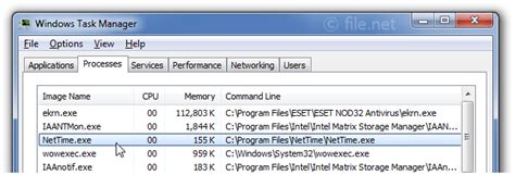 Nettime Exe Windows Process What Is It