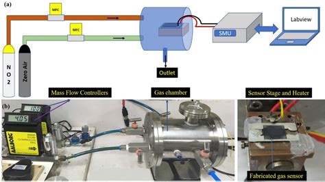A Schematic Of The Gas Sensor Test Setup B Indigenously Developed Gas