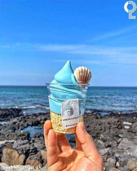 냠냠노트 📍제주 조천 어반정글그레이밤부 뭐하지조천 제주에서 즐기는 발리st 오션뷰 카페 오션뷰와 노을뷰에서 인생샷 Ssap 가능인 카페 소개시켜드려요 바다를 담은