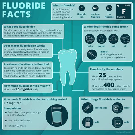 Dentistry Definition History And Fields Britannica