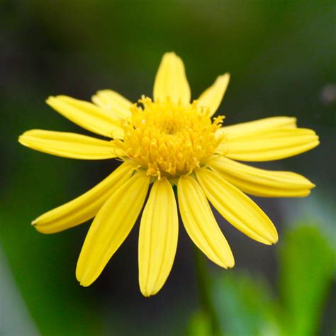 The Nerd Box Of Life Weirdphotographernerd Tumblr Blog Tumlook