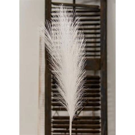 Pampas Grass Pick 28 White