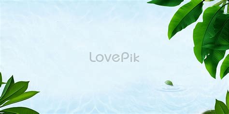 230000 배경 녹색 잎 영화 배경 녹색 잎 배경 재고 이미지 Lovepik