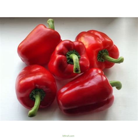 بذور فلفل رومي Capsicum Annuum 100