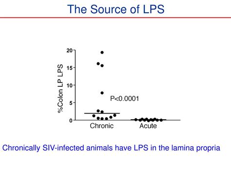 Ppt Microbial Translocation And Hiv Siv Infections Powerpoint Presentation Id 3823394