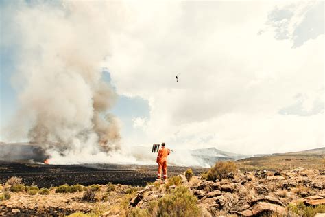 Mount Kenya Trust Thinking Locally With Smart And Earthranger Wildlabs
