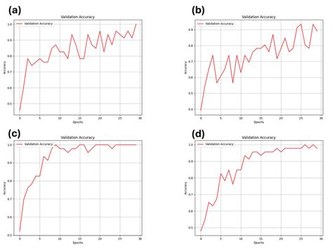 The Use Of Hybrid Cnn Rnn Deep Learning Models To Discriminate Tumor Tissue In Dynamic Breast