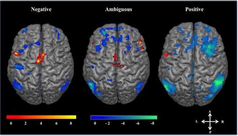 Music Emotion Neural Networks Neuroscience News
